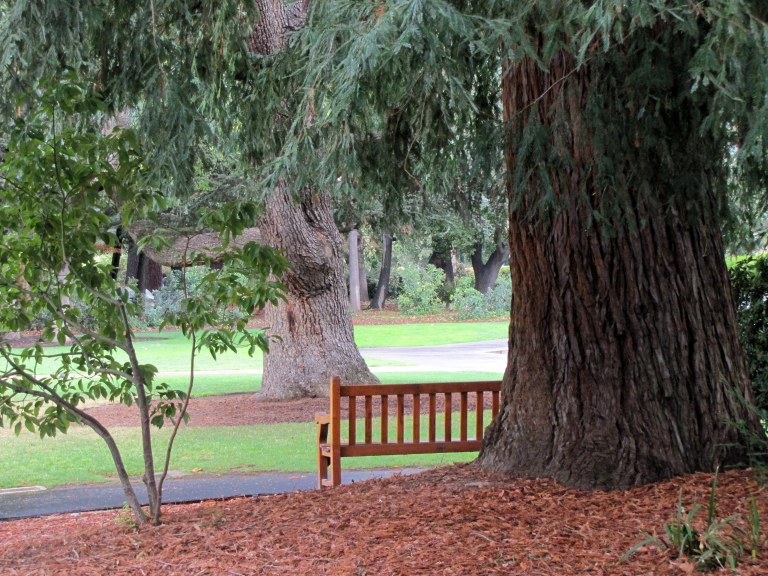 Photo-Essay: Bench Love | Cafe Dissensus Everyday