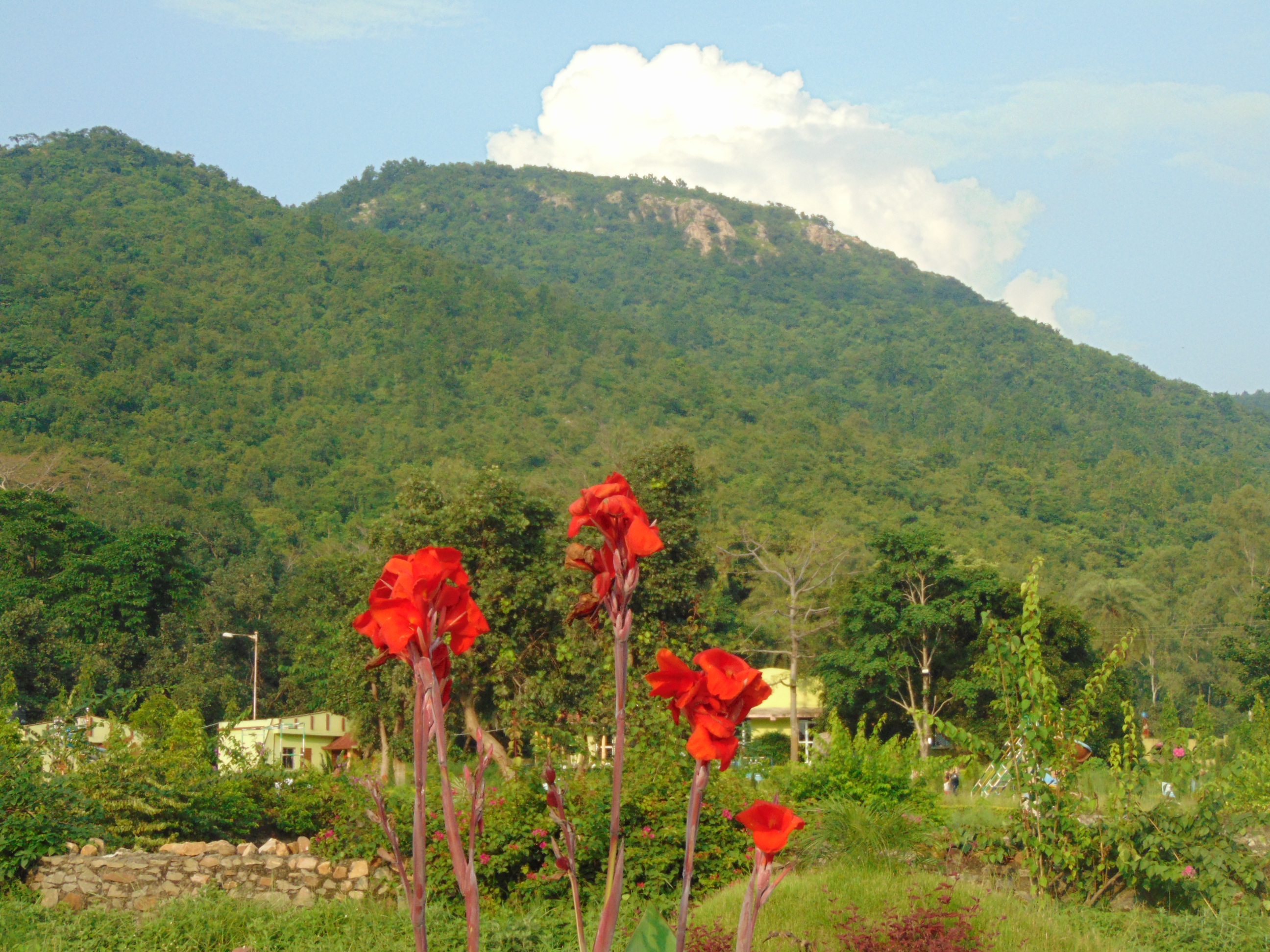 Travel: Susunia – The Hill in the West | Cafe Dissensus Everyday